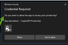 "An application is requesting access to a Protected item, Password for> CryptoAPI Private Key ...