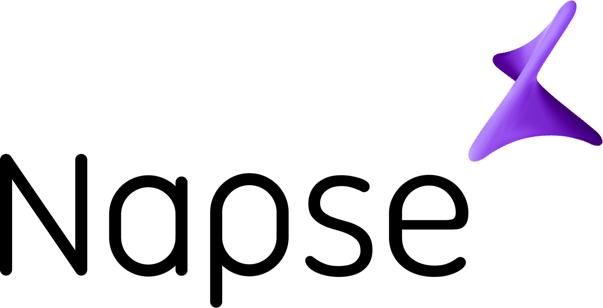 Guía de Funcionalidades de la Suite Napse - Napse - Linx Share